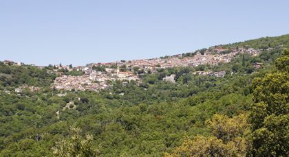 Pruneddu - Il torrone sardo